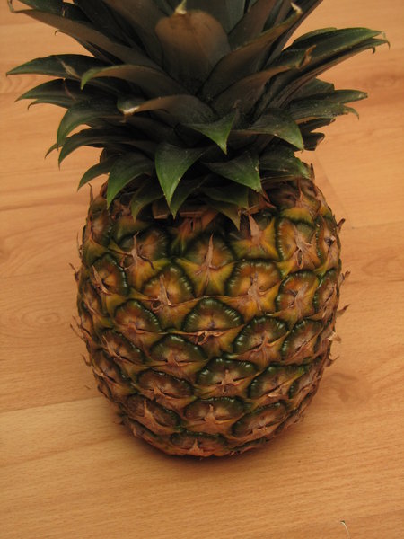 Images Of Rough Objects