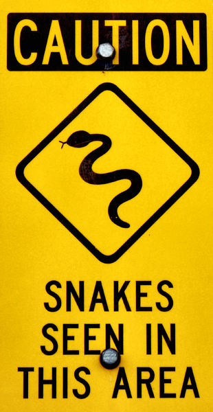 Free stock photos - Rgbstock - Free stock images | snakes sighted2 ...
